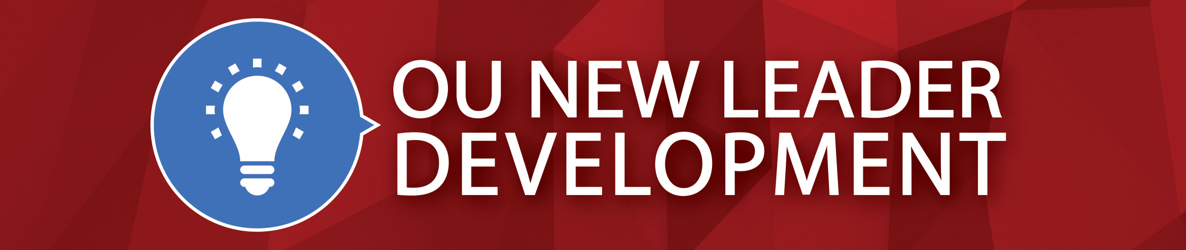 New Leader Development